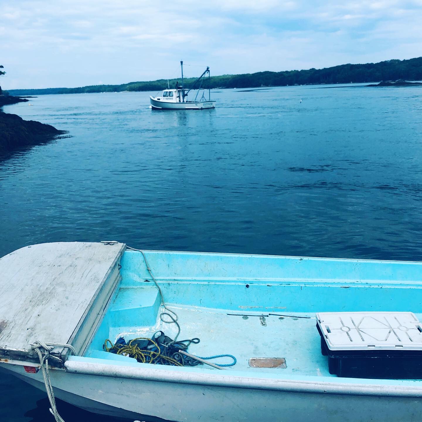 MAINE OYSTER INITIATIVE War Shore Trading Co 